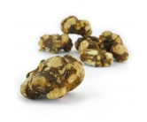 Buy Magic Truffles | Sclerotia - MushMagic